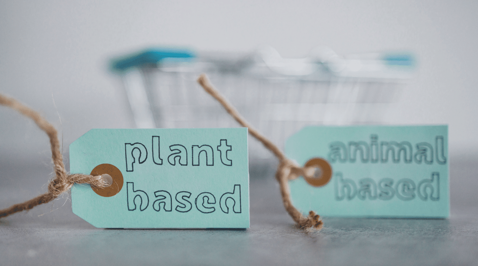 The latest news in plant based food - Discover SWAP Chicken